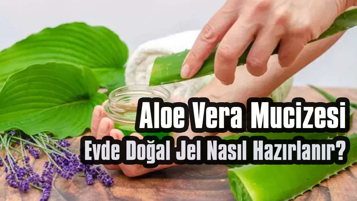 Aloe Vera Mucizesi: Evde Doğal Jel Nasıl Hazırlanır?