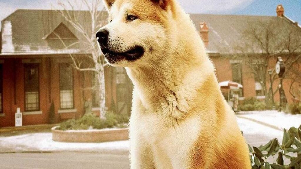 Hachi: A Dog’s Tale filminin konusu ne? Hachi: A Dog’s Tale filminin ...